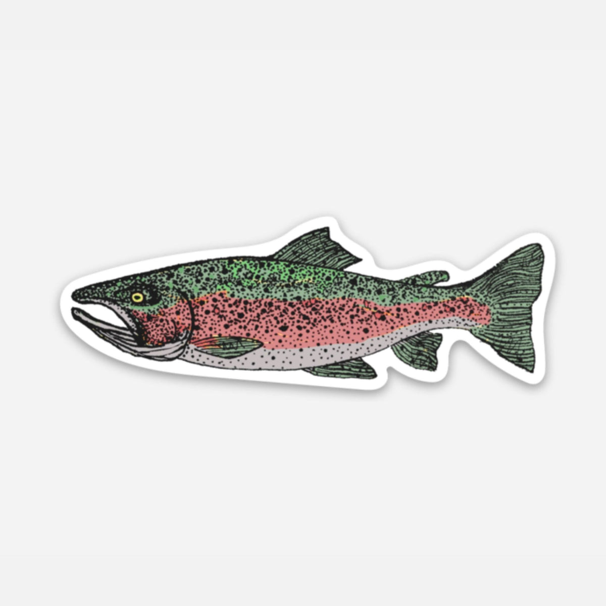 Salmon Sticker by Nature Walk – Applecore General Store